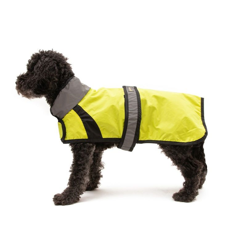 Buy Great&Small Active Hi-Vis Running Dog Jacket from £16.99
