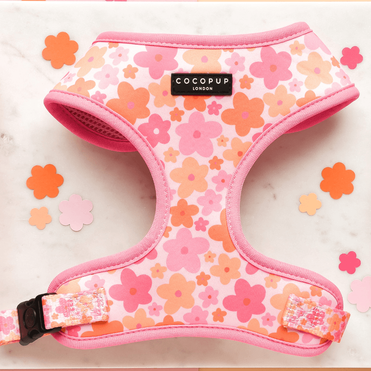 Buy Cocopup Summer Bloom Harness from £25.00